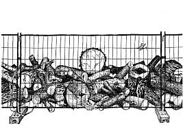 Naturals - Ralph Ammer