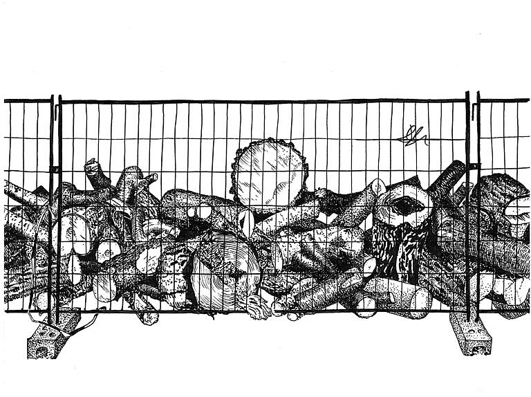 Naturals - Ralph Ammer