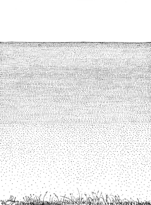 Postcards - Ralph Ammer