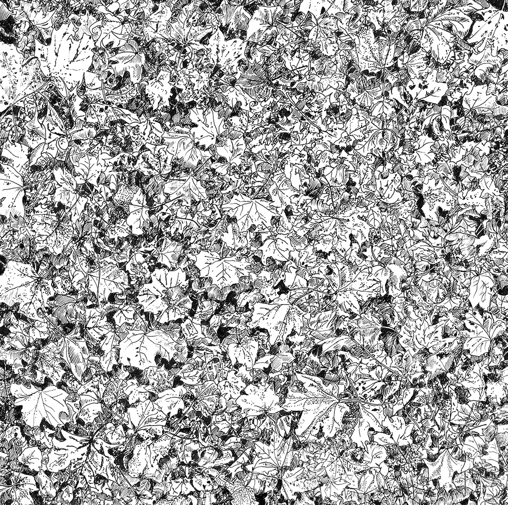 Foliage – Ralph Ammer