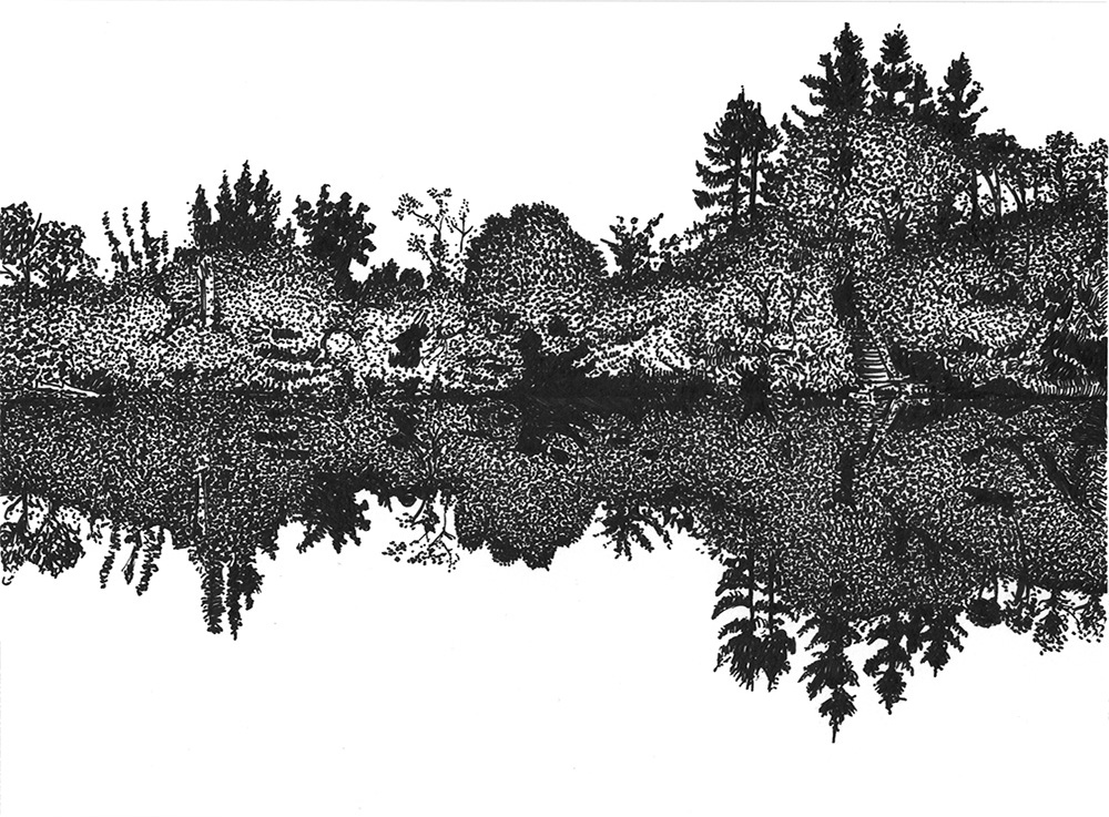 Quiet morning – Ralph Ammer